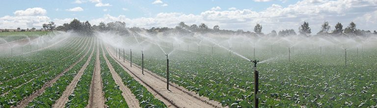 Woodside Irrigation – Get It Wet